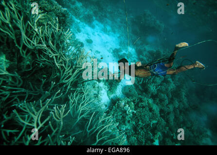 L'île de Kitava, Îles Trobiand, Papouasie Nouvelle Guinée Photo Stock ...