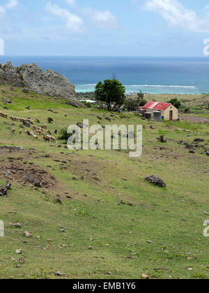 L'Ile Maurice, l'île Rodrigues, Pointe Coton, détail d'un piège à ...