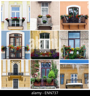 Collage de magnifiques fleurs de balcon d'été en rangées, isolées sur ...