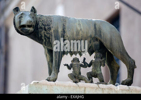 Statue de bronze de la louve avec Romulus et Remus, le Palazzo dei ...