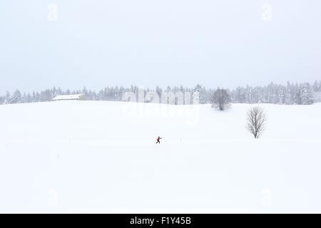 France, Ain, Pays de Gex, Jura Chaîne haute Réserve Naturelle, panorama ...