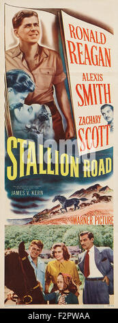 Stallion Road - Movie Poster Photo Stock - Alamy