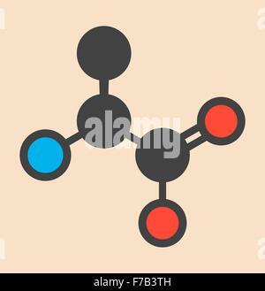 L'alanine (Ala), un acide aminé, le modèle moléculaire. Les acides ...