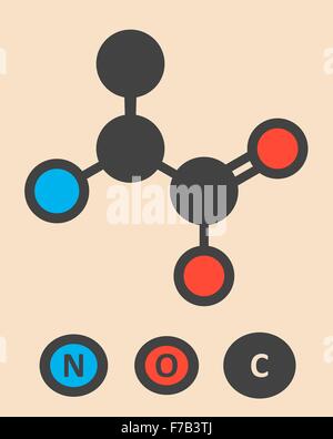 L'alanine (Ala), un acide aminé, le modèle moléculaire. Les acides ...