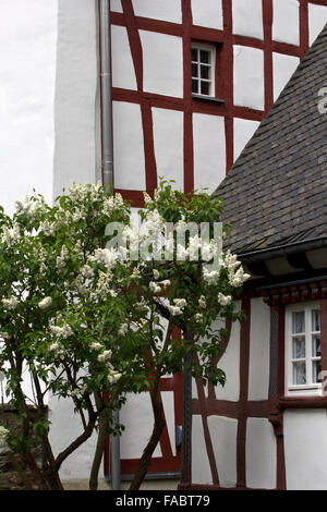 Village de Monreal, dans l'Eifel, des montagnes, de l'Est de l'Eifel ...