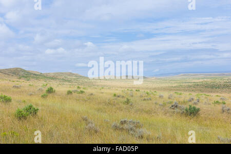 Prairies, prairies et broussailles sèches et collines sous un ciel ...
