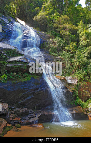 Cascade dans la forêt de Tijuca, Floresta da Tijuca, Rio de Janeiro ...