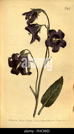 *Curtis's Botanical Magazine* est une revue botanique bien connue qui ...