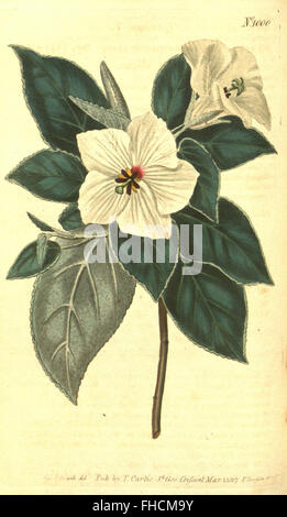 *Curtis's Botanical Magazine* est une revue botanique bien connue qui ...