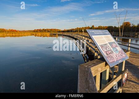 Canada, Québec, Montréal, l'Île Bizard, le parc naturel de bois de l ...
