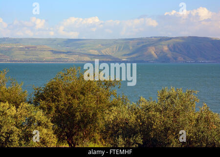 Mer de Galilée (lac de Tibériade) et les hauteurs du Golan en arrière ...