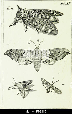 *Die Kennzeichen der Insekten* (1761) de Karl Linnaeus est un travail ...