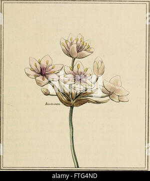 Ce travail de 1812 décrit le système botanique de Linné, illustrant les ...