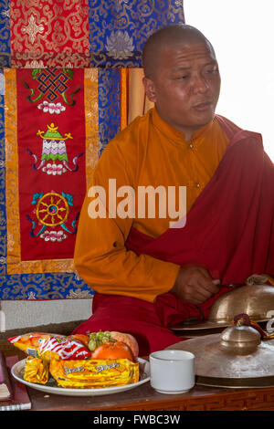 Bodhnath, au Népal. Le moine bouddhiste musiciens jouant la Chalemie ...