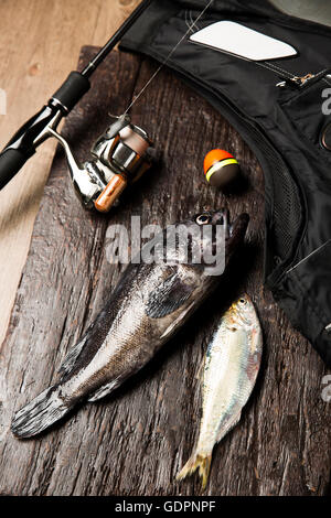 Sébaste cru frais avec du matériel de pêche sur une planche en bois ...
