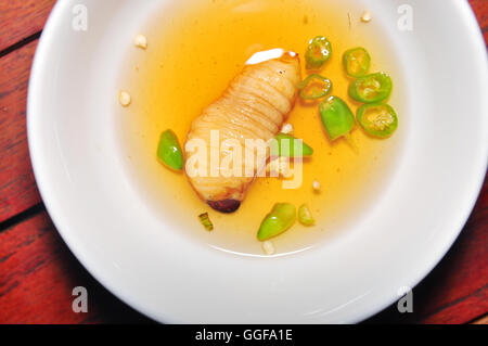 vers sagou, larves du charançon rouge du palmier isolées sur fond blanc ...