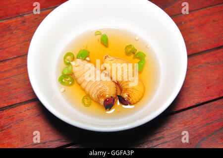 vers sagou, larves du charançon rouge du palmier isolées sur fond blanc ...