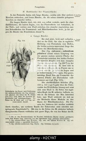 Ce texte est un manuel détaillé sur l'anatomie humaine, axé sur l'étude ...