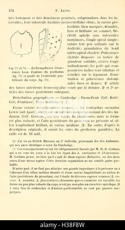 Ce travail scientifique révise les coléoptères de la famille des ...
