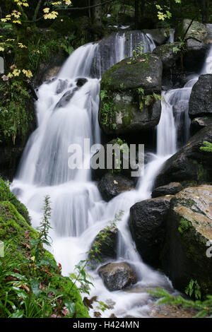 Cascade, au nord de la Forêt Noire, Bade-Wurtemberg, Allemagne, Europe ...