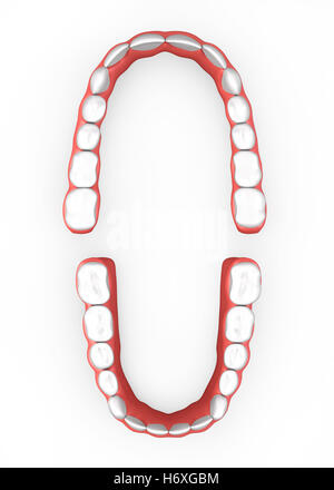 La mâchoire humaine avec l'anatomie des dents et des gencives en illustration médicale modèle ...