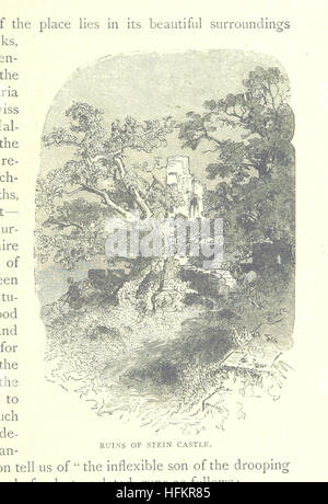 Cette image tirée de 'le Rhin : de sa source à la mer' offre une ...