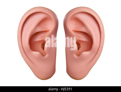 Pavillon de l'oreille, lobe de l'oreille, modèle photo, modèle, l ...