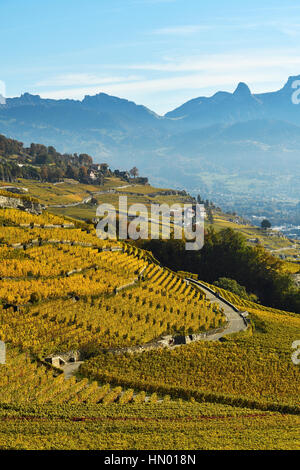 La Suisse, Canton de Vaud, terrasses de Lavaux inscrite au Patrimoine ...