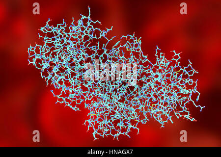 La ricine. Modèle informatique d'une molécule de la protéine toxique de ...