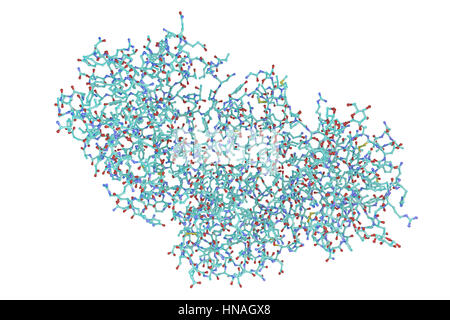 La ricine. Modèle informatique d'une molécule de la protéine toxique de ...