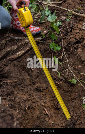 L'école, moins de Potton jumeaux SG19 2PB coups de RSPB et faire faire ...