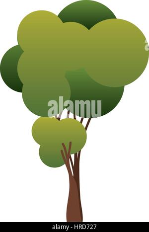 Silhouette croquis arbre avec feuilles de forme arrondie Image ...