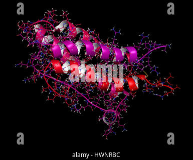 L'érythropoïétine (EPO), l'époétine hormone de protéine. Stimule la ...