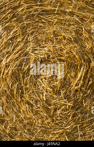 Texture d'arrière-plan du châssis entier de balle de paille ronde Photo ...