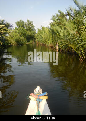 09827 Rivière Malolos City Districts Bulacan Landmarks 37 arbres Nipa ...