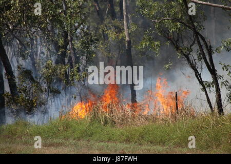 Fumée fumer fume fume conflagration incendie entonnoir tornade vortex ...