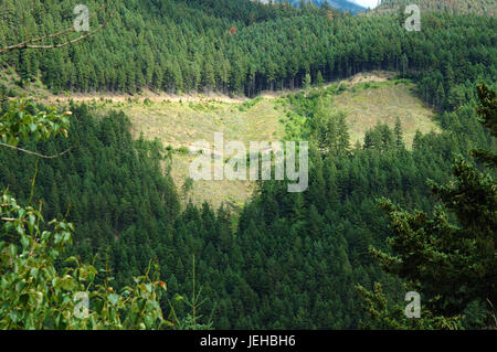Vue aérienne au-dessus de la coupe claire forêt, Canada Photo Stock - Alamy