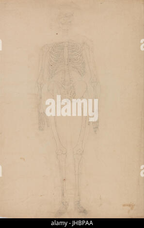 Le travail de George Stubbs, 'A comparative Anatomical exposition ...