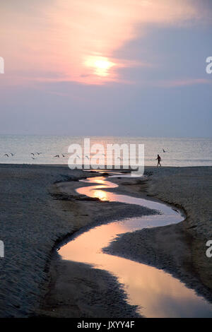 Un grand gentleman pose torse nu au soleil sur une plage en été au ...