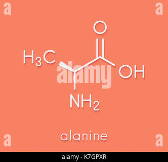 L'alanine (Ala), un acide aminé, le modèle moléculaire. Les acides ...