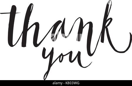 Merci beaucoup lettrage manuscrit. La calligraphie moderne vector hand ...