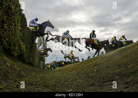 La compétition de course de chevaux d'obstacles Photo Stock - Alamy