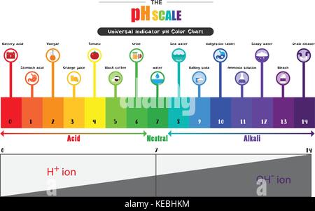 L'échelle de ph indicateur universel diagramme couleur ph alcalin acide ...