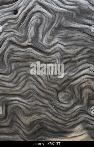 Maserung , Holz, maser, formulaire, struktur, natur, formulaire, Baum ...