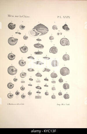 Notes sur les mollusques terrestres de la Vallée du fleuve Bleu, Chang ...