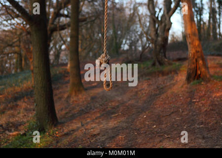 Corde de suicide comme concept une corde dans un lasso slipknot comme ...