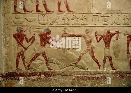 Mur hiéroglyphique égyptienne antique des fresques murales représentant ...