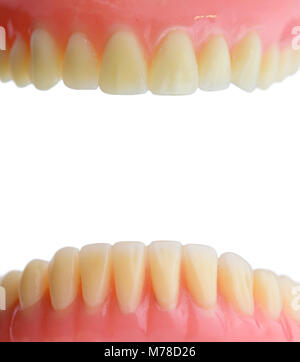 Mâchoire humaine avec l'anatomie des dents et des gencives en illustration médicale modèle isolé ...