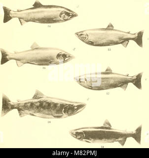 . Vérifier la liste des poissons de la Dominion du Canada et de Terre ...