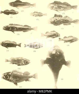 . Vérifier la liste des poissons de la Dominion du Canada et de Terre ...